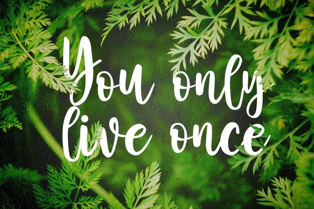 Casey Martin - Calligraphy script - So Fontsy