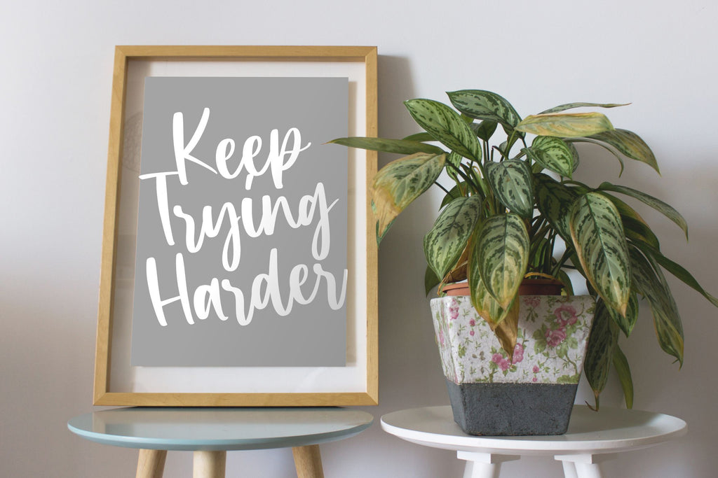 Celosia Golden Modern Calligraphy Font - So Fontsy