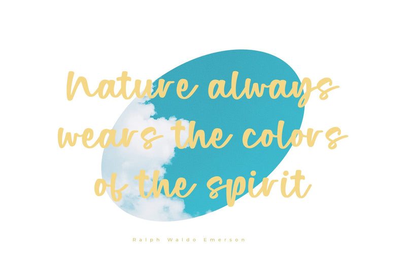 Ceremony Handwritten font - So Fontsy