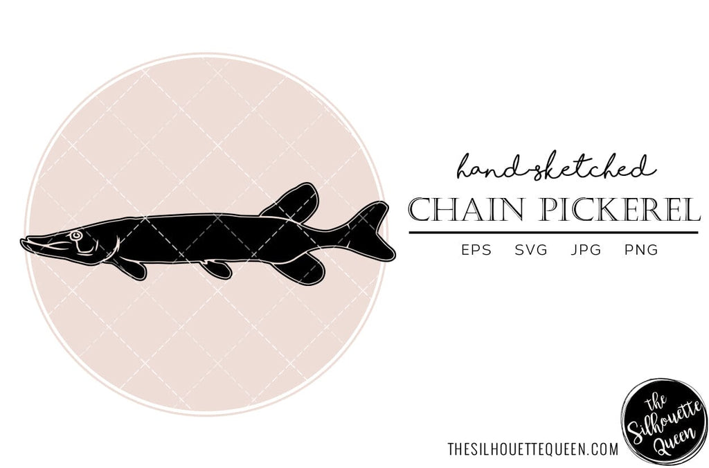 Chain Pickerel Hand sketched, hand drawn vector clipart - So Fontsy