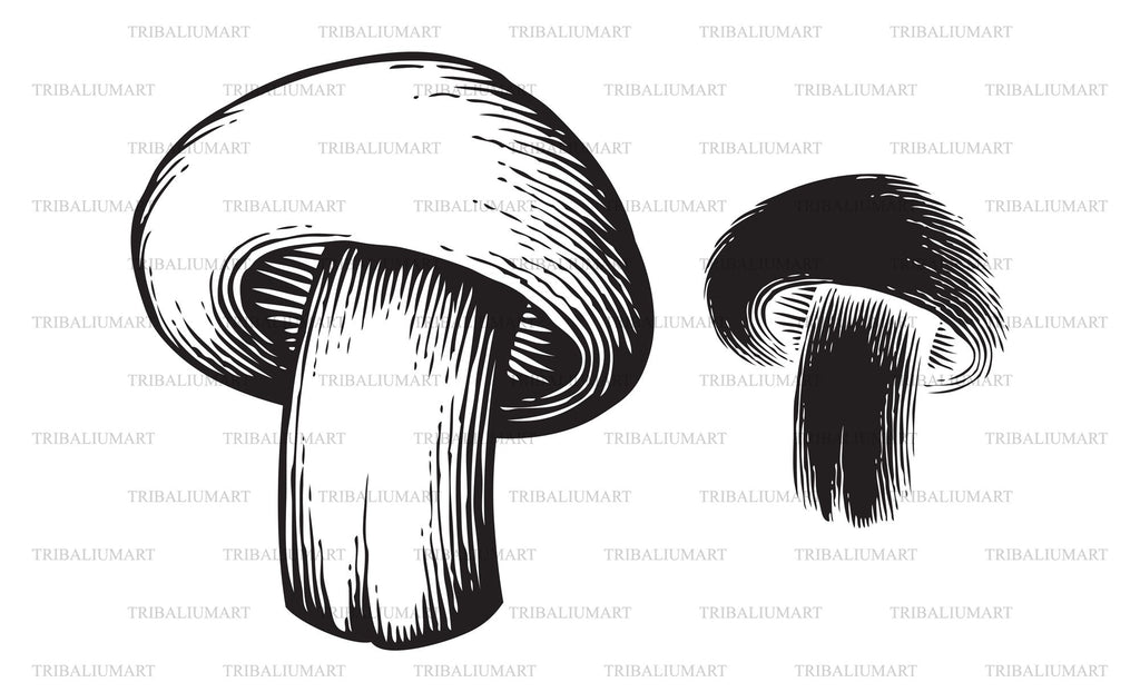 Champignon mushroom. Cut files for Cricut. Clip Art (eps, svg, pdf, png ...