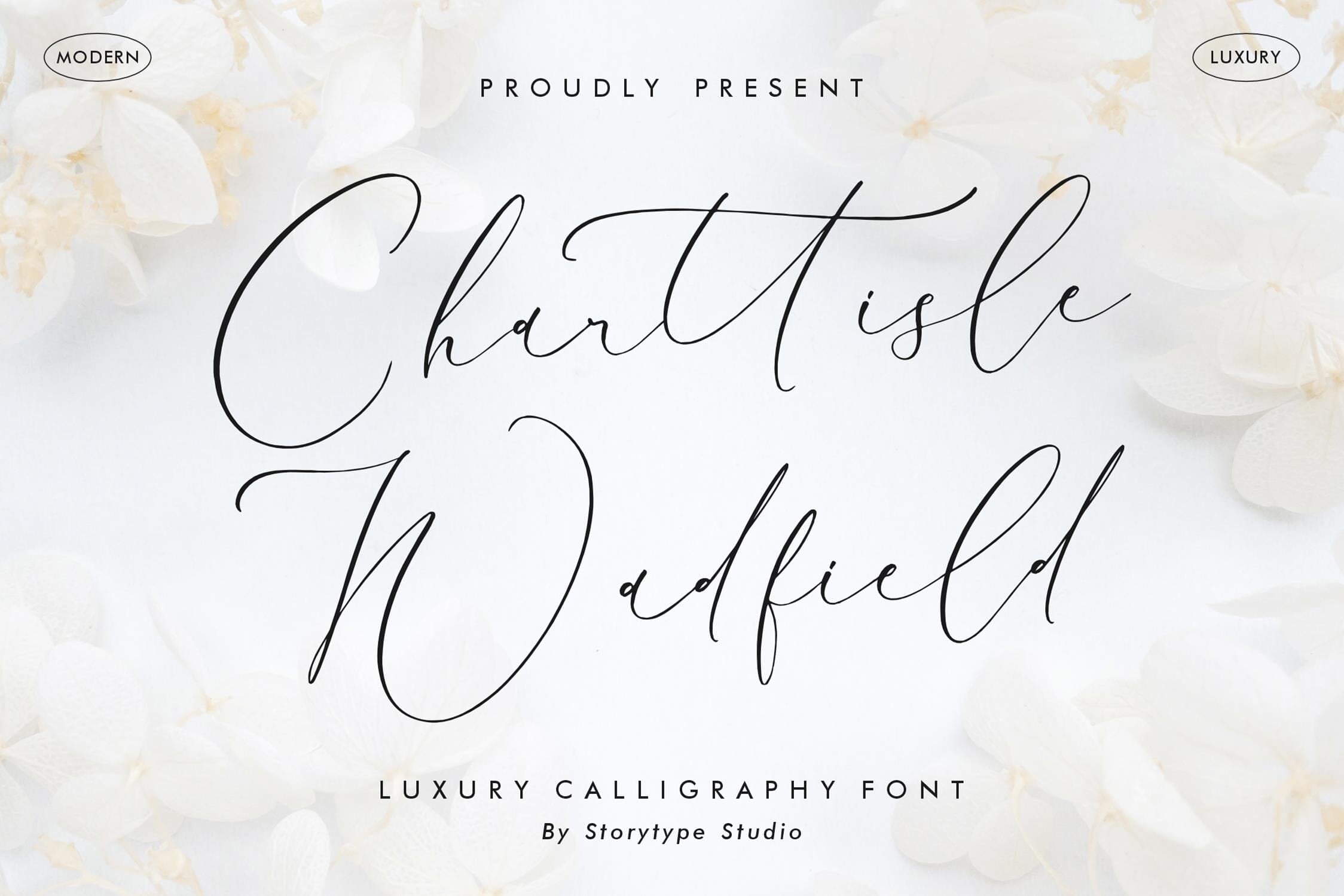 Charttisle Wadfield - Luxury Calligraphy Font - So Fontsy