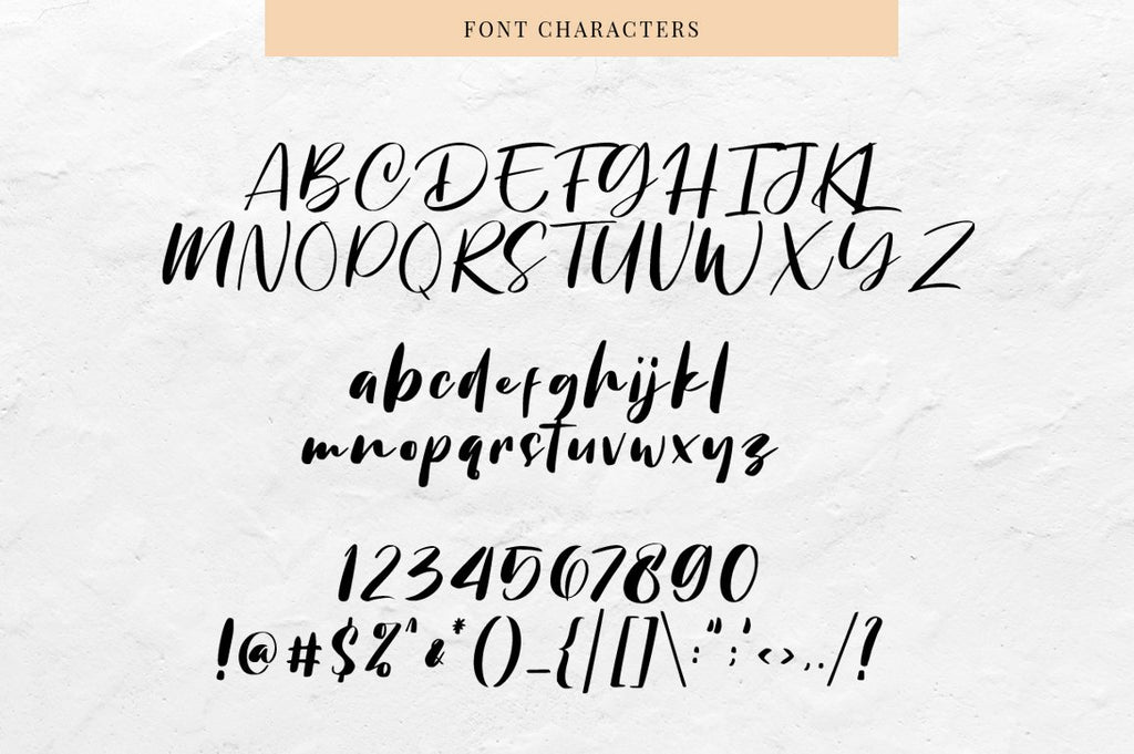 Chellyne - Modern Script Font - So Fontsy