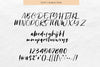 Chellyne - Modern Script Font - So Fontsy