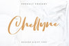 Chellyne - Modern Script Font - So Fontsy