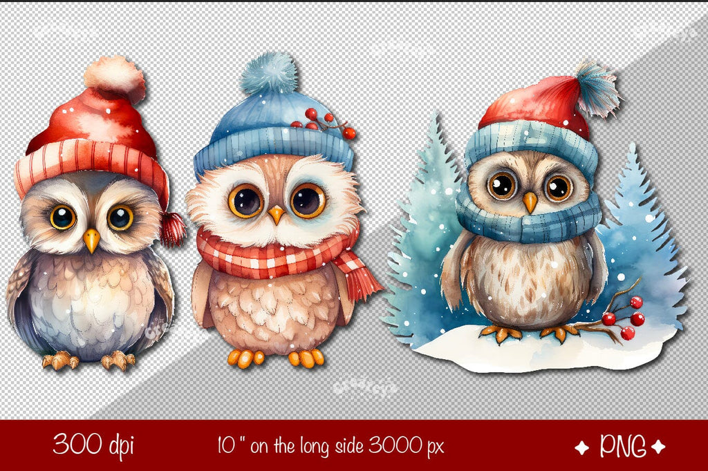Christmas clipart watercolor Owl Clipart bundle Xmas Owl illustration ...