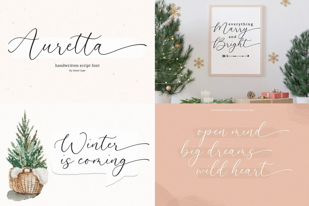 Christmas Fonts bundle - So Fontsy