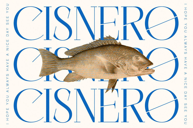 Cisnero Typeface - So Fontsy