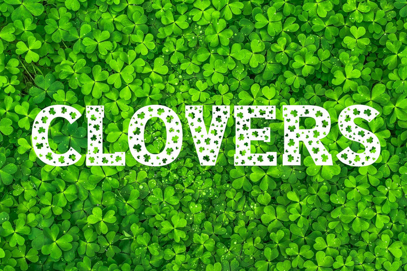 Clover Love - Saint Patrick's Day Font - So Fontsy