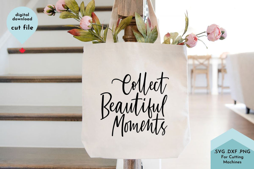 Collect Beautiful Moments - Inspirational SVG Cut File - So Fontsy