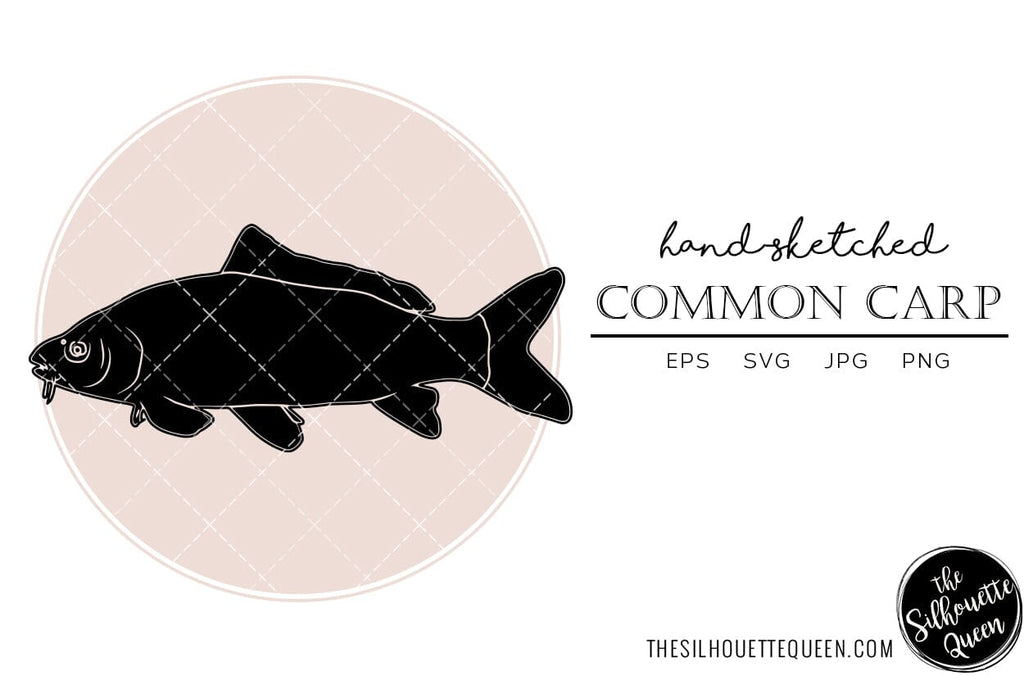 Common Carp Hand sketched, hand drawn vector clipart - So Fontsy