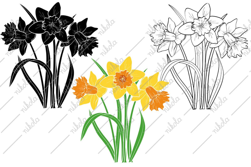 Daffodil Clipart Cut File PNG SVG EPS DXF PDF - So Fontsy