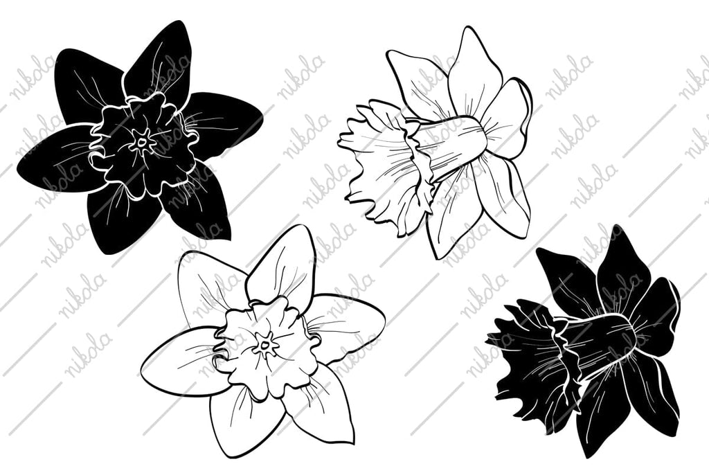 Daffodil Clipart Cut File PNG SVG EPS DXF PDF - So Fontsy