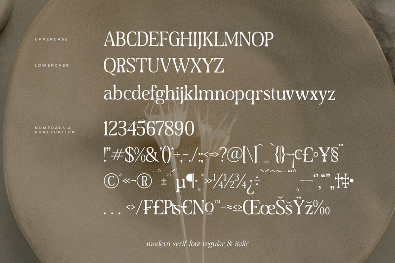 Dairing Typeface - So Fontsy