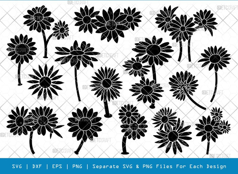 Daisy Flower SVG, Flower Silhouette, Floral Svg, Daisies Svg, Daisy ...
