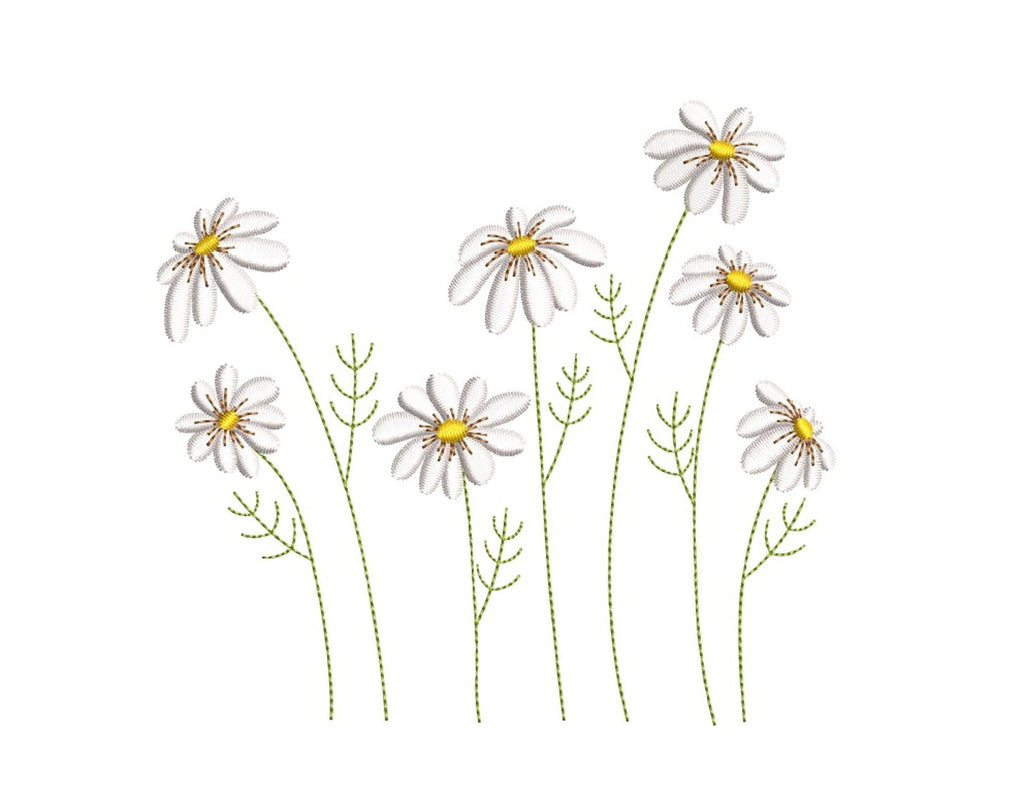 Daisy Flowers Embroidery Design, 4 sizes, Instant Download - So Fontsy