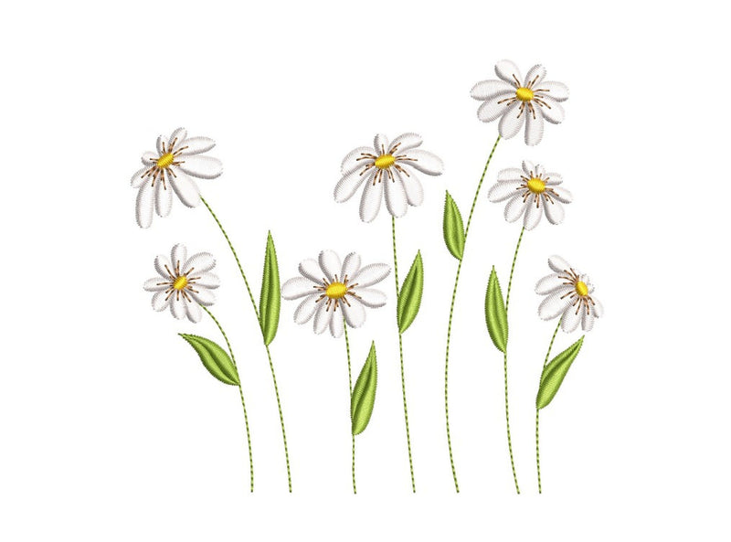 Daisy Flowers Machine Embroidery Design, 4 sizes, Instant Download - So ...