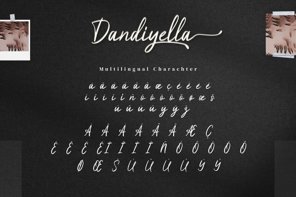 Dandiyella - Handwritten Swash Font - So Fontsy