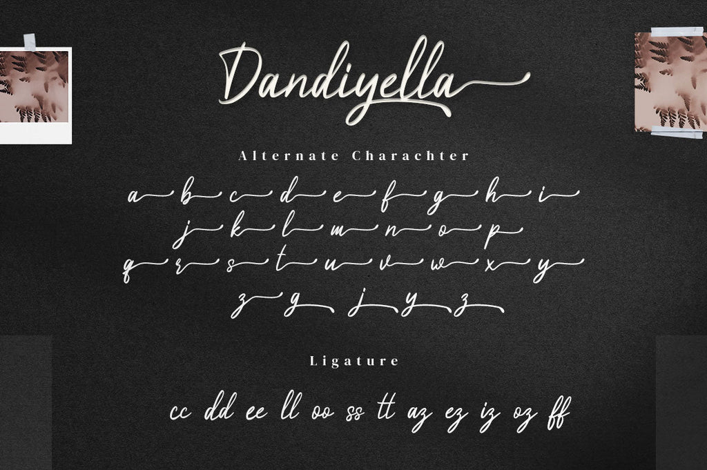 Dandiyella - Handwritten Swash Font - So Fontsy