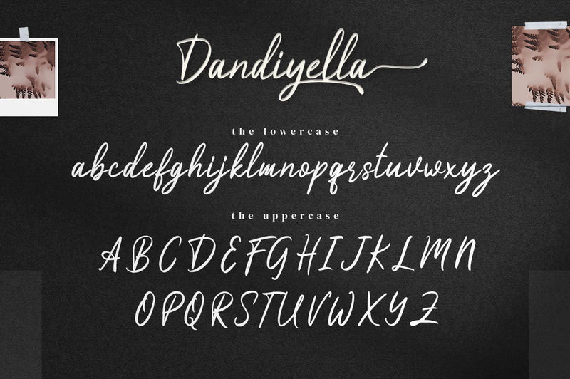 Dandiyella - Handwritten Swash Font - So Fontsy