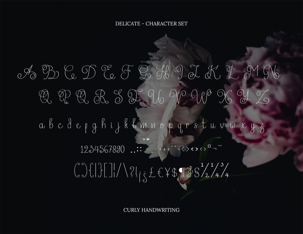 Delicate Curly Handwriting - So Fontsy