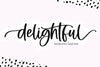 Delightful - Modern Script Font - So Fontsy