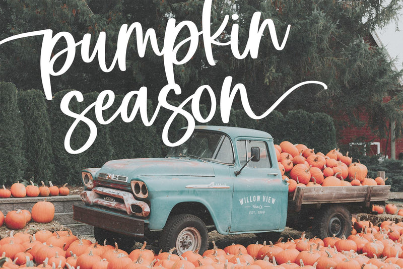 Delightful - Modern Script Font - So Fontsy