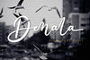 Denala - Script Font - So Fontsy