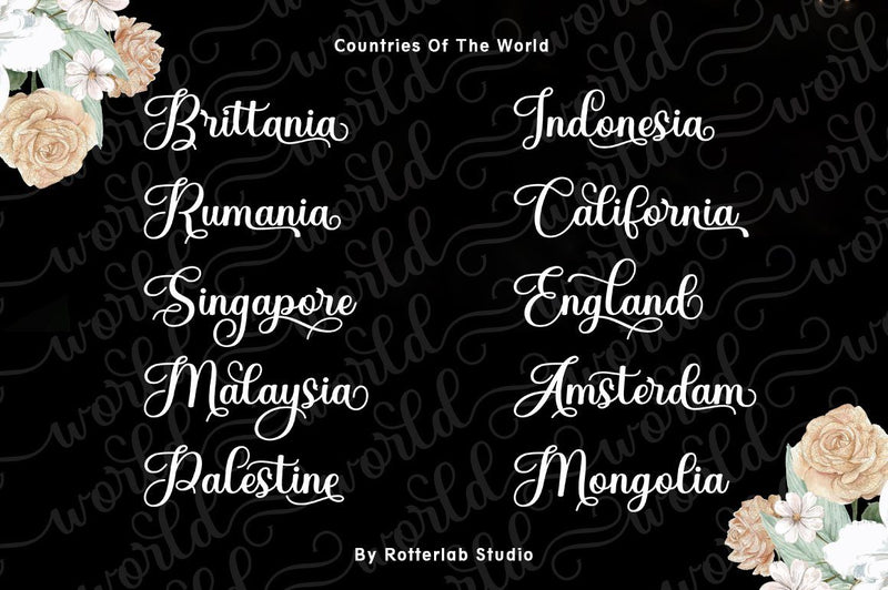 Diary Angelique - So Fontsy