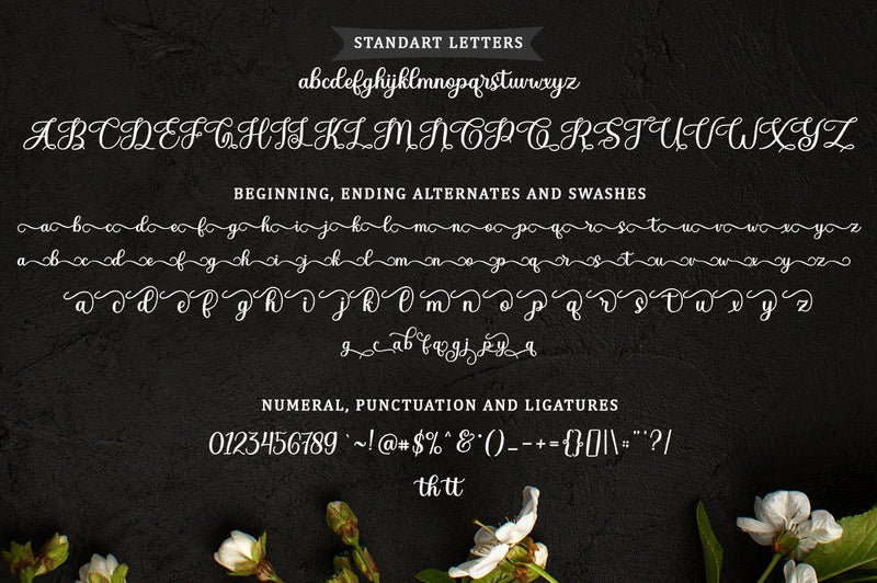 Diary Angelique - So Fontsy