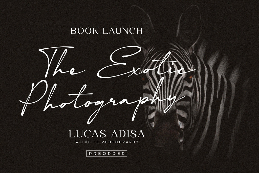 Diverting - Aesthetic Signature - So Fontsy