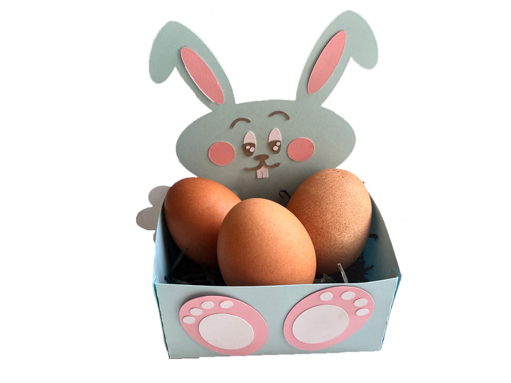 DIY Bunny Box 3D SVG for Easter Gift Box or Party Favors - So Fontsy