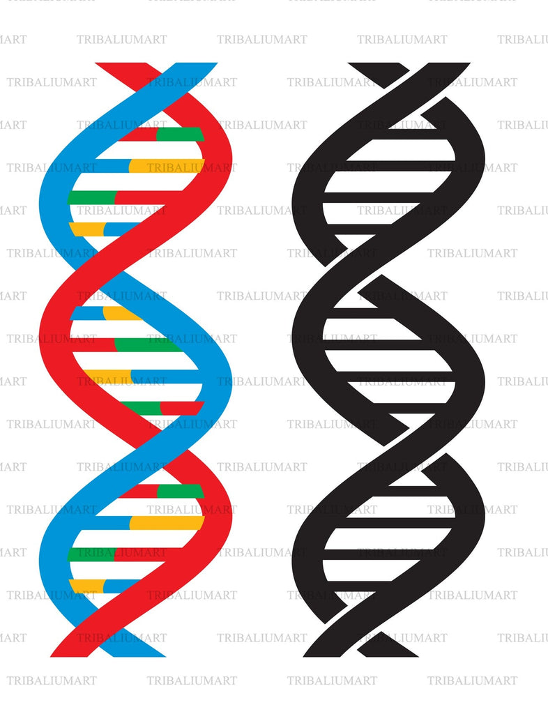 DNA strand. Cut files for Cricut. Clip Art silhouettes (eps, svg, pdf ...