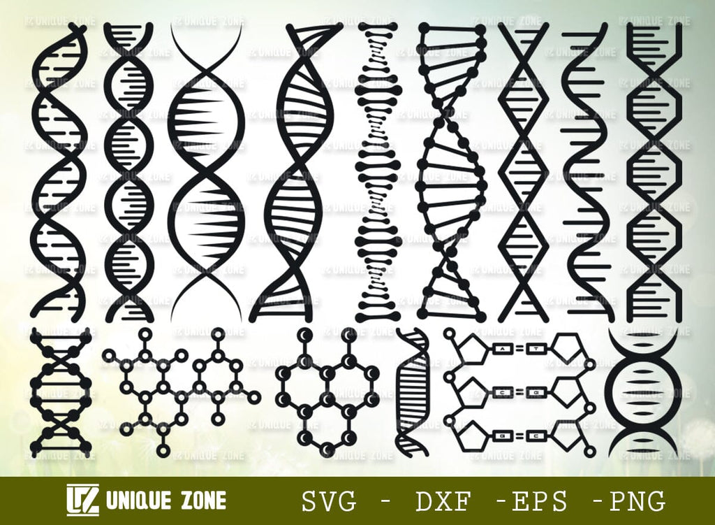 DNA SVG Bundle, DNA Molecule Svg, Genetic Svg, Gene Svg, DNA Strand Svg ...