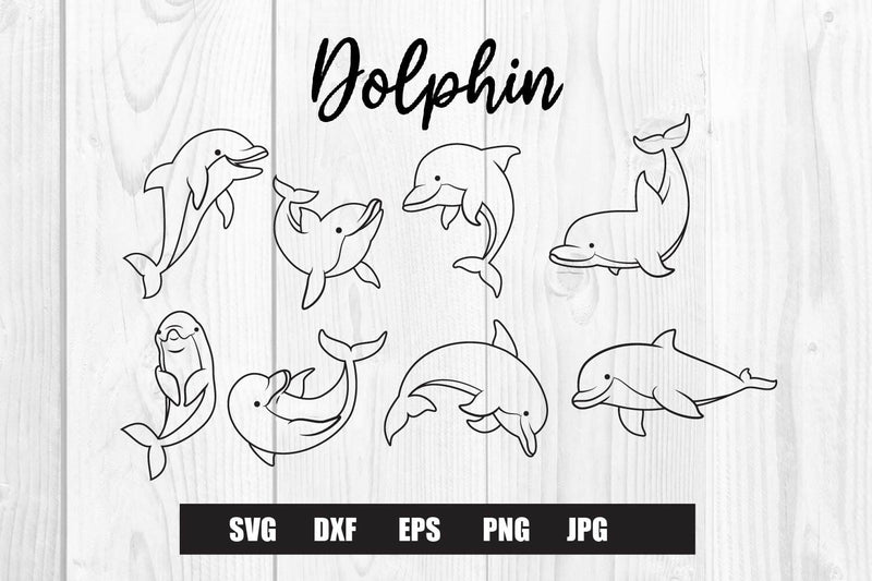 Dolphin svg bundles clipart - So Fontsy