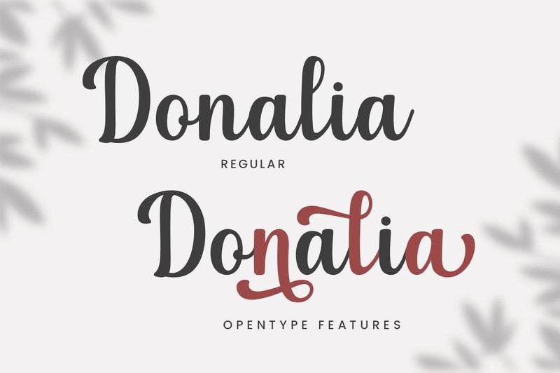 Donal - So Fontsy