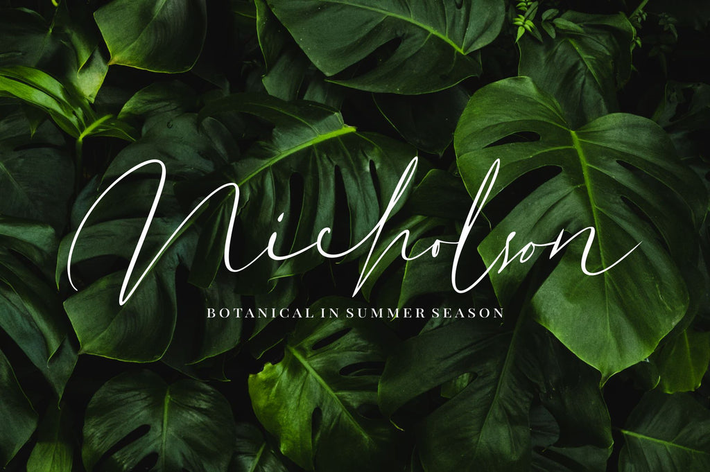 Dutchly – Modern Handwritten - So Fontsy