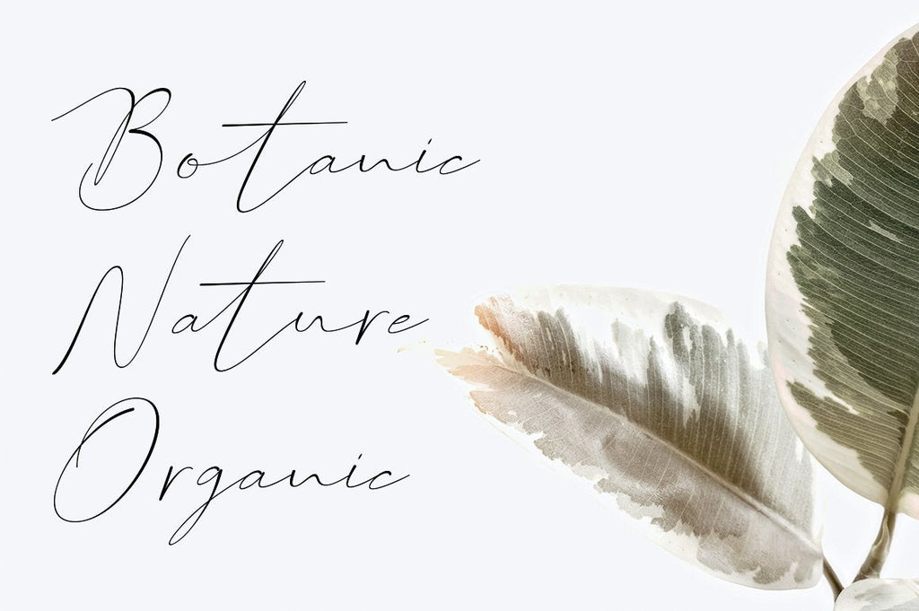 England Signature - So Fontsy