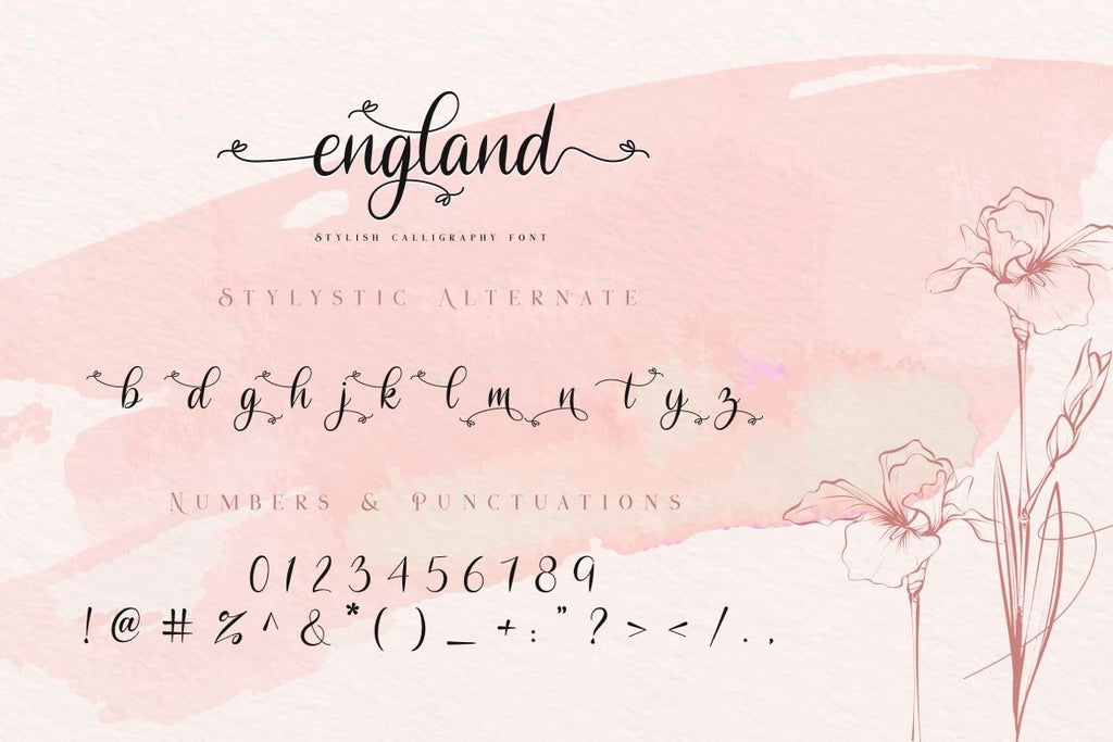 England // Stylish Calligraphy Font - So Fontsy
