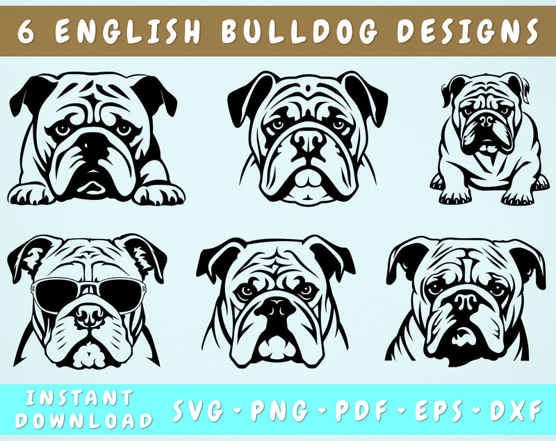 English Bulldog SVG Bundle, 6 Designs, English Bulldog PNG, English ...