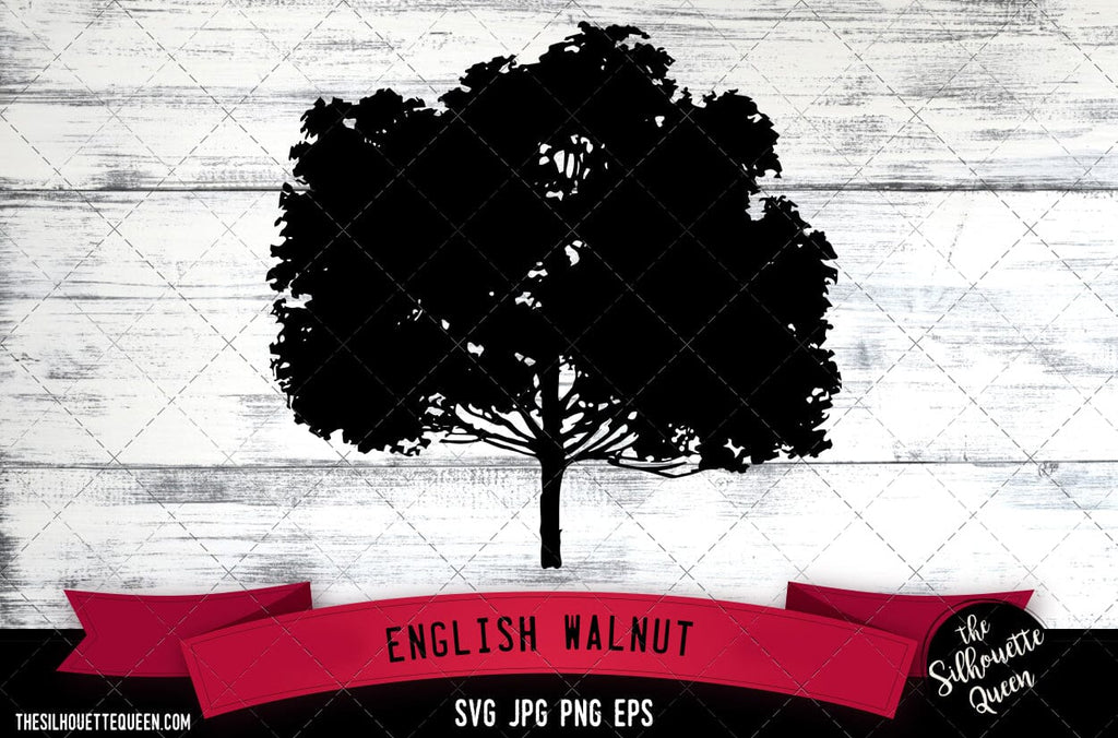 English Walnut SVG -Vector Art Commercial & Personal Use- Cricut,Silho ...