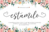 Estamilo Script - So Fontsy