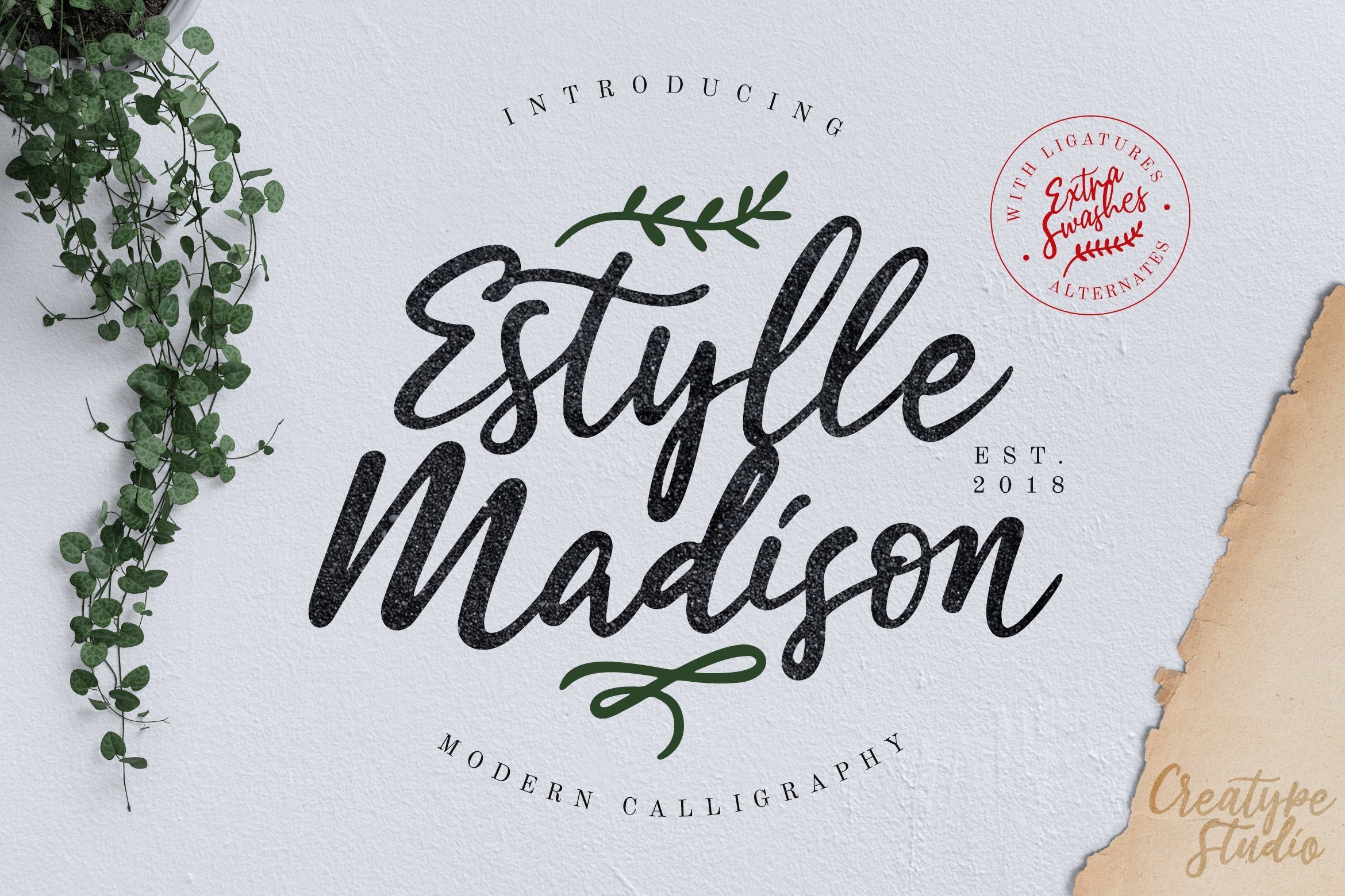 Estylle Madison Calligraphy - So Fontsy