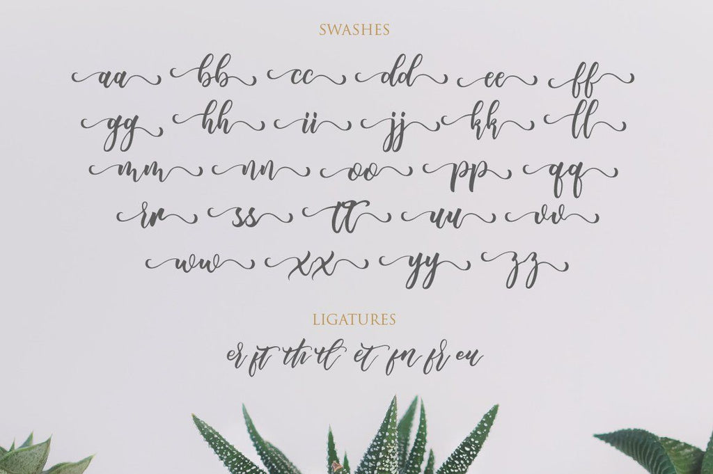 Evangelia Script - So Fontsy