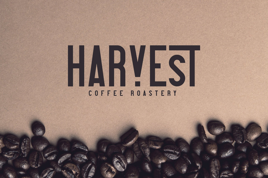 Everyday Font Collection | 8in1 - So Fontsy