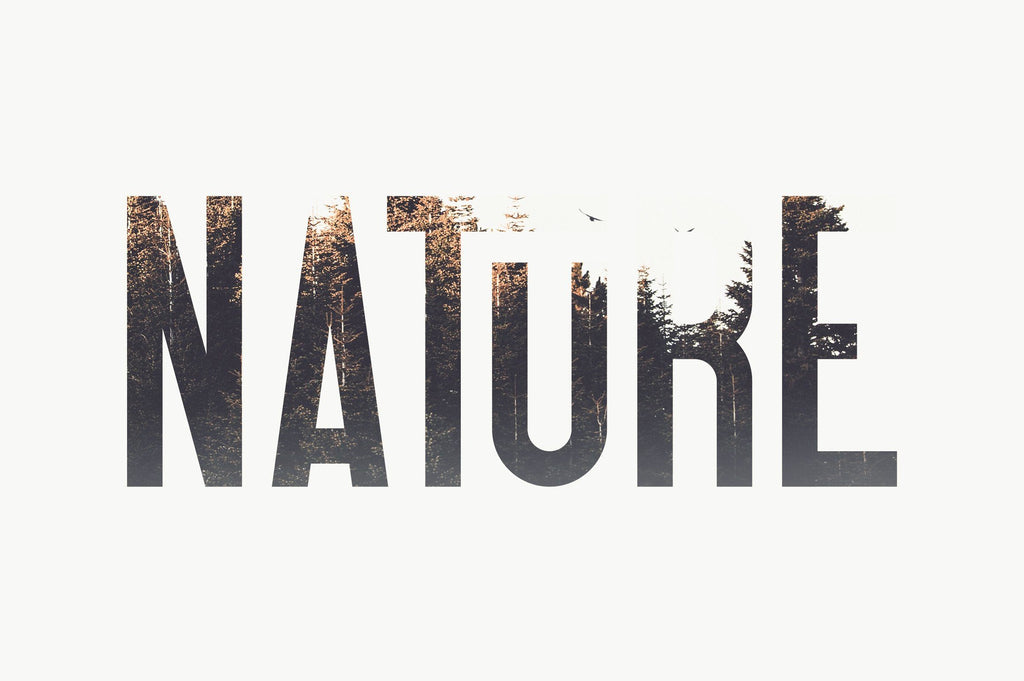 Everyday Font Collection | 8in1 - So Fontsy