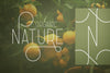 Fabulist - Display font - So Fontsy