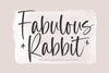 Fabulous Rabbit Handbrushed Script Font - So Fontsy