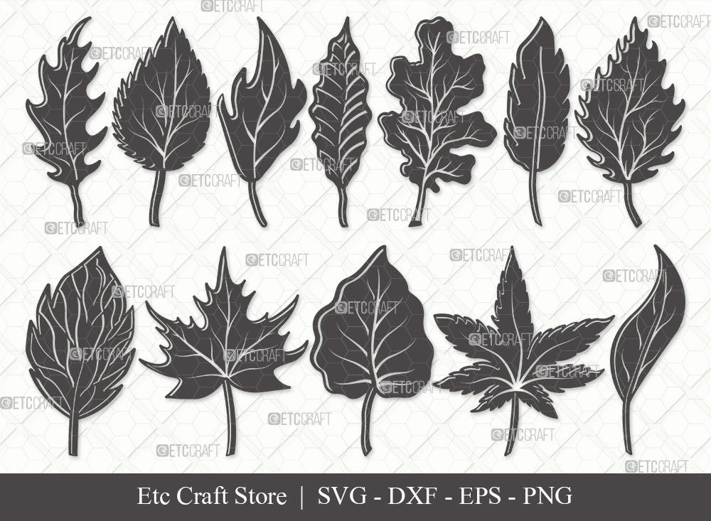 Fall Leaf Silhouette SVG Cut Files | Fall Leaves Bundle | Autumn Leaf ...