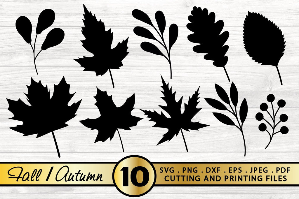 Fall SVG Bundle Fall Leaves SVG PNG EPS DXF Autumn Bundle - So Fontsy